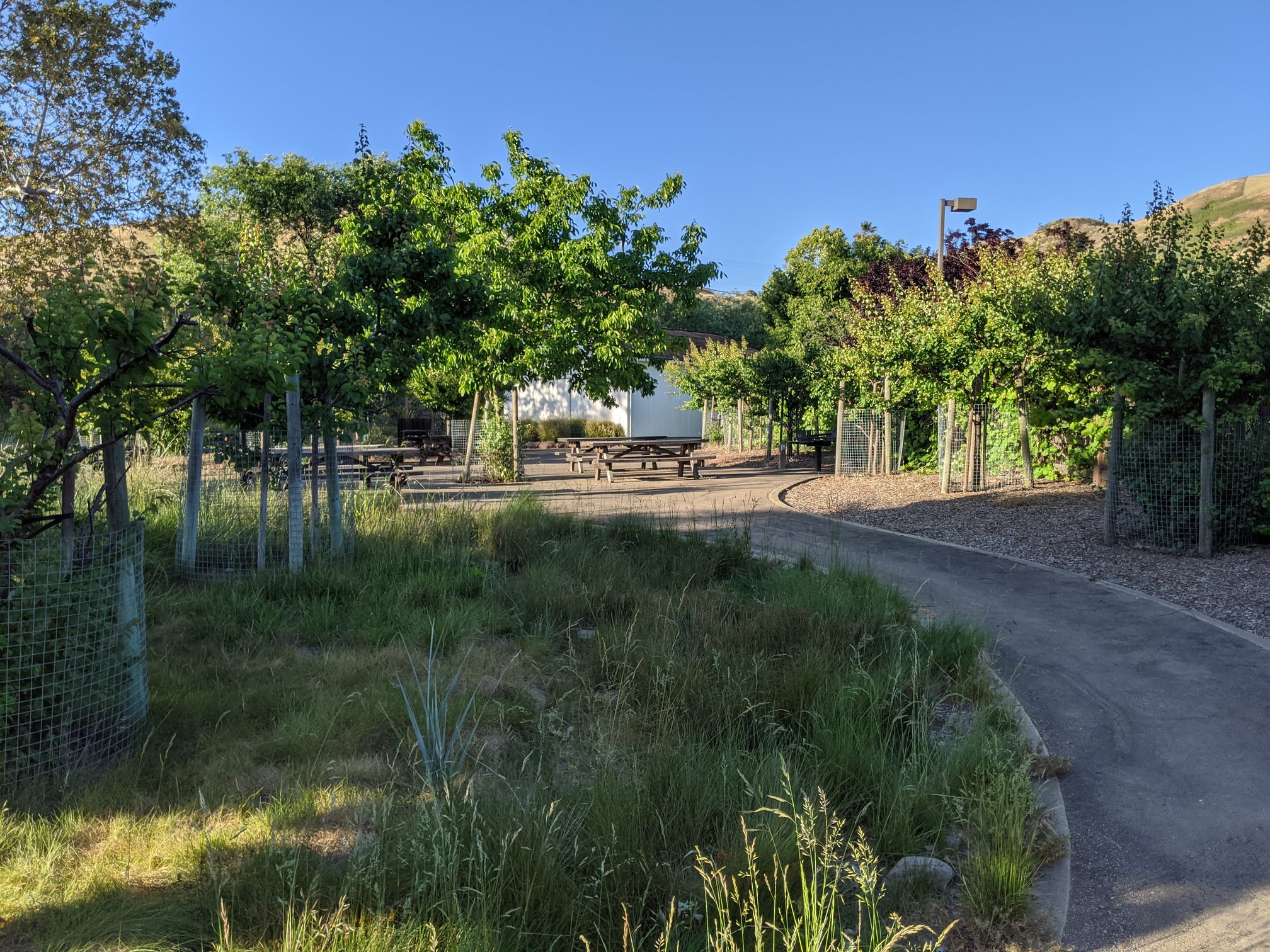 Urban Open Space Corner: Restoring the Alviso Adobe and Saving Santa ...