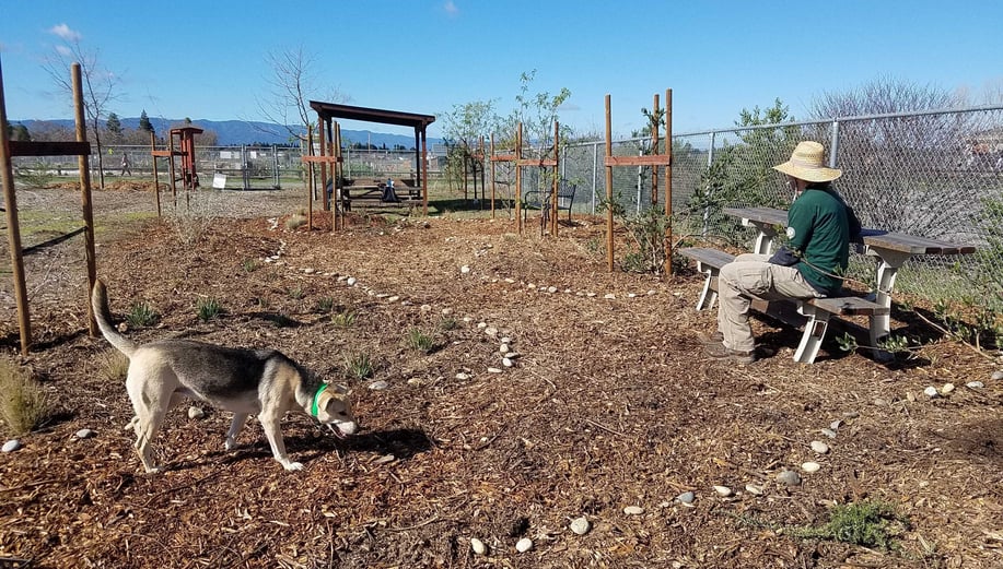 Urban Open Space Corner: Our City Forest