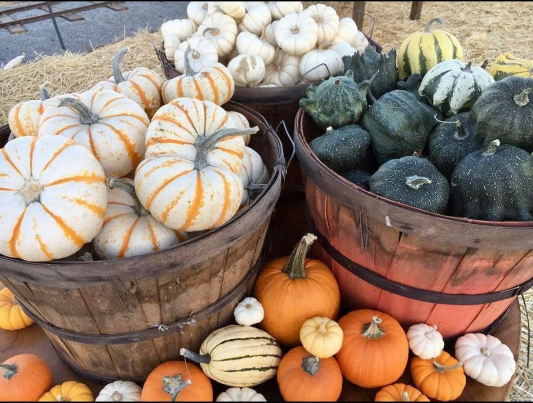 Spina Farms Open for Fall Fun on Protected Lands
