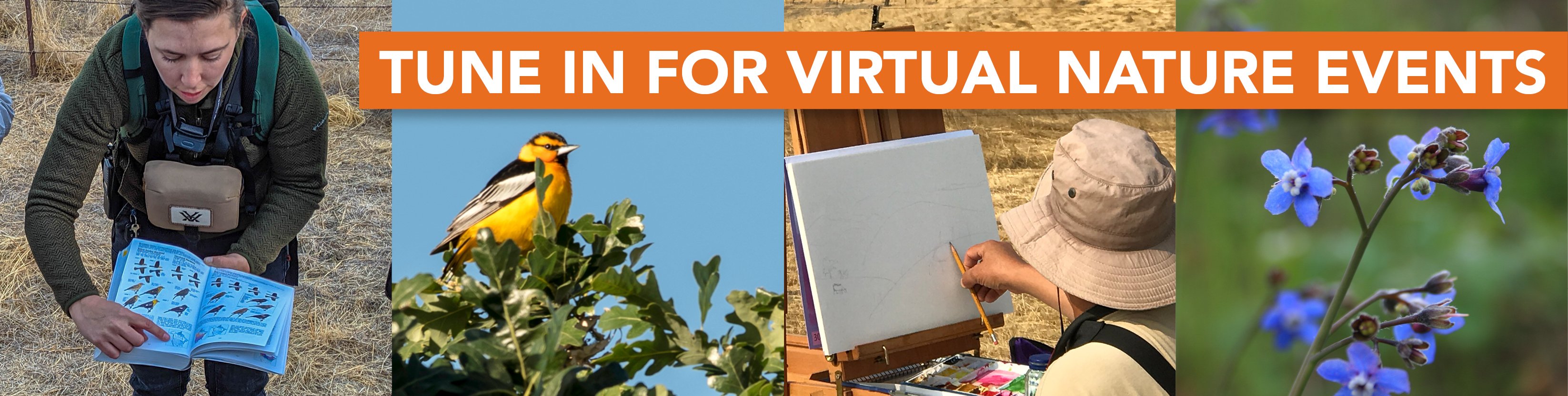 Tune in for Virtual Nature Programs!