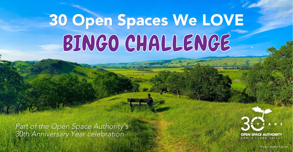 30 Open Spaces We Love Challenge